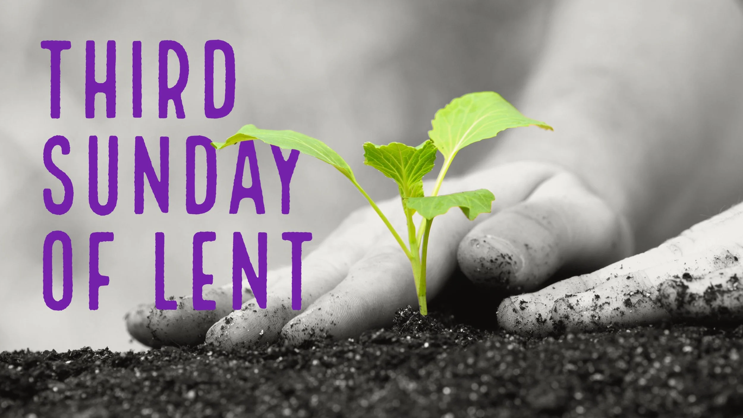 Northridge UMC Events Calendar | Upcoming Activities & Services — NUMC ...