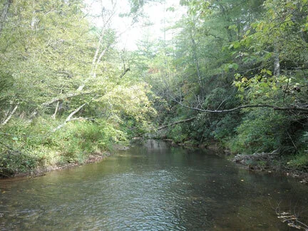 Foothills Conservancy Adds 26 Acres to Smith Cliffs/Henry Fork River ...