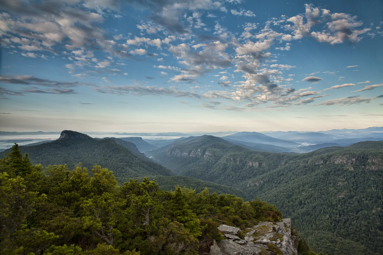 Conservation — Foothills Conservancy of NC