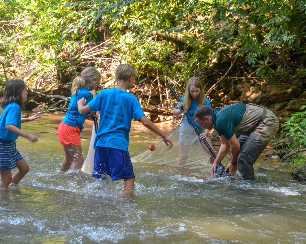 Hiking Trails in Western North Carolina — Foothills Conservancy