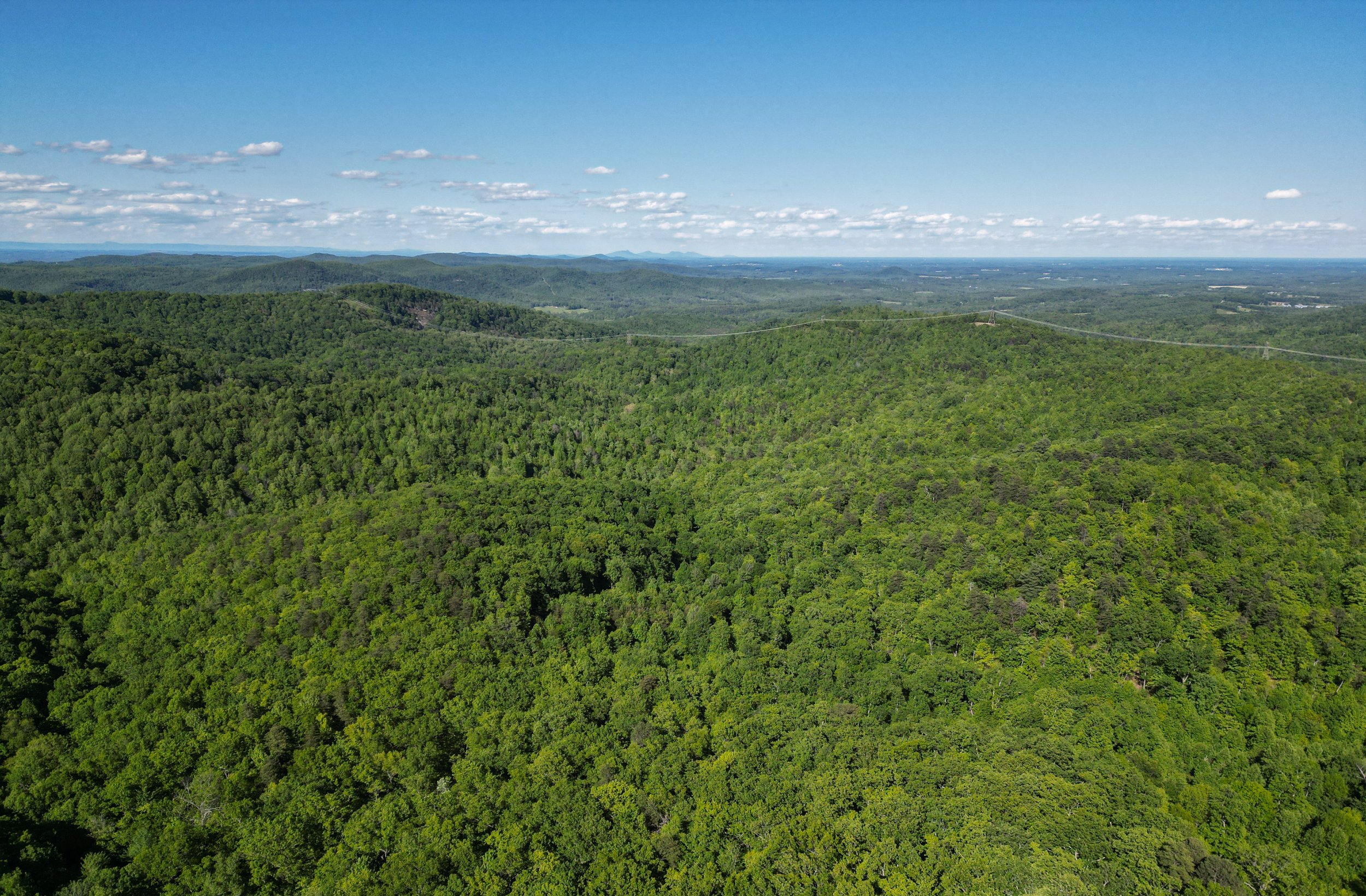 News — Foothills Conservancy