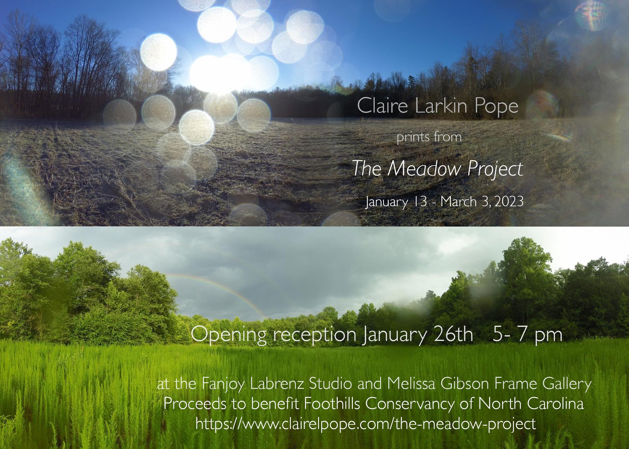 The Meadow Project Reception — Foothills Conservancy of NC