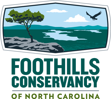 Foothills Logo