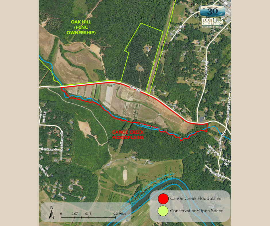 Conserving Burke County’s Canoe Creek Floodplain — Foothills ...