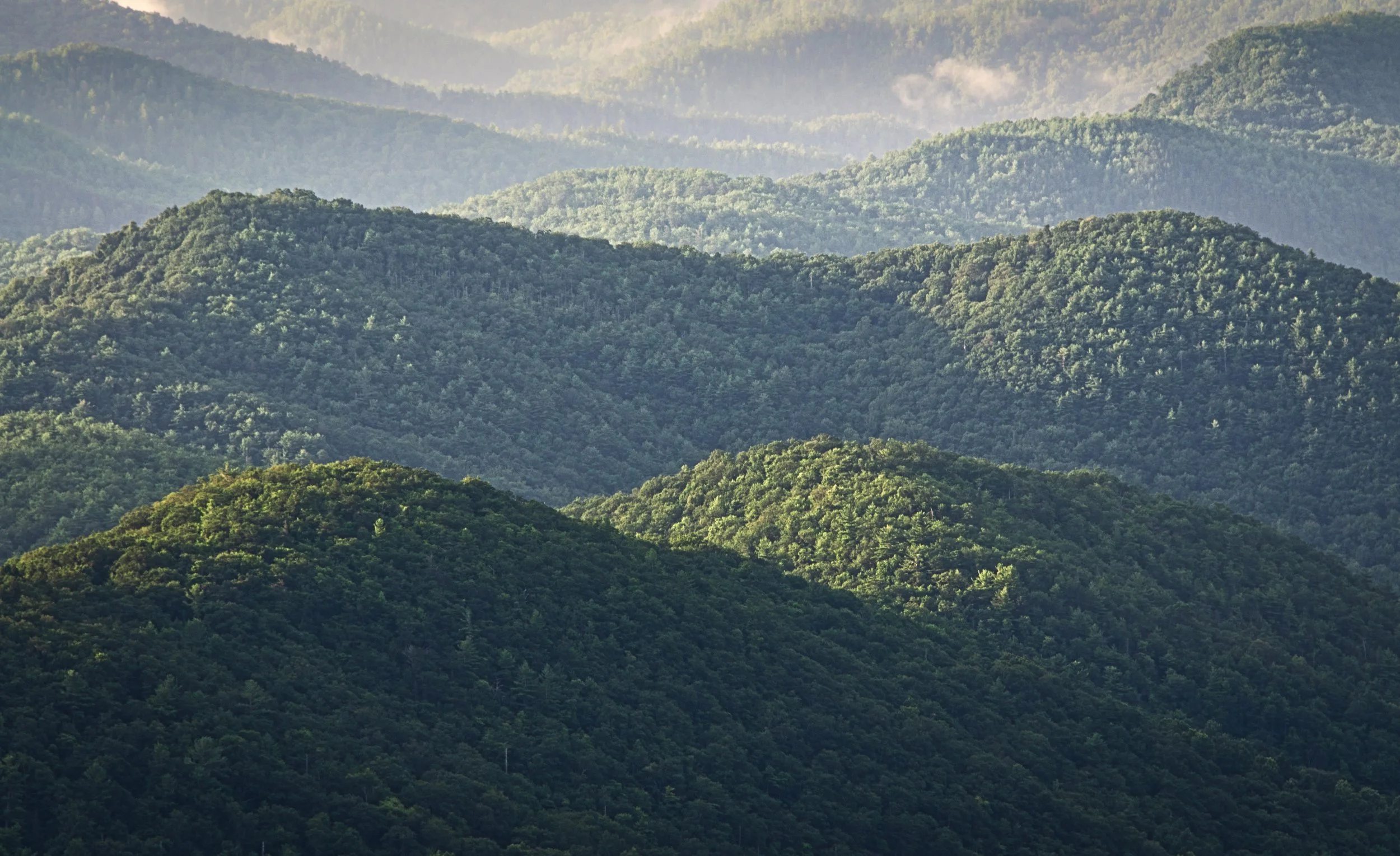 Foothills Conservancy