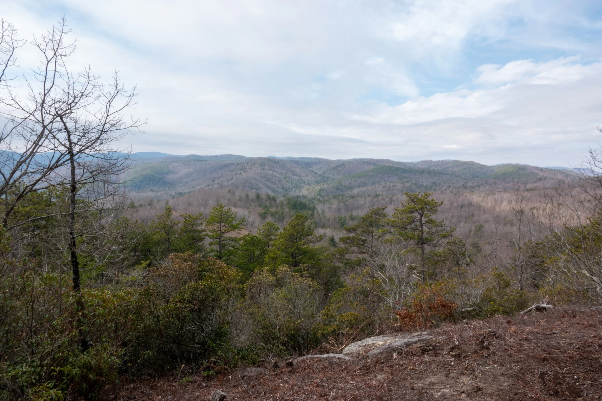 Visit Trails and Public Access Sites — Foothills Conservancy of NC