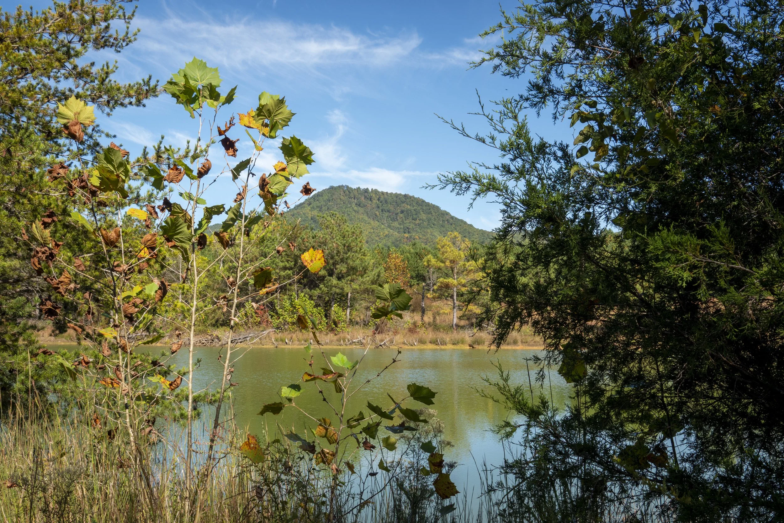 Expanding Pinnacle Mountains Preserve — Foothills Conservancy of NC