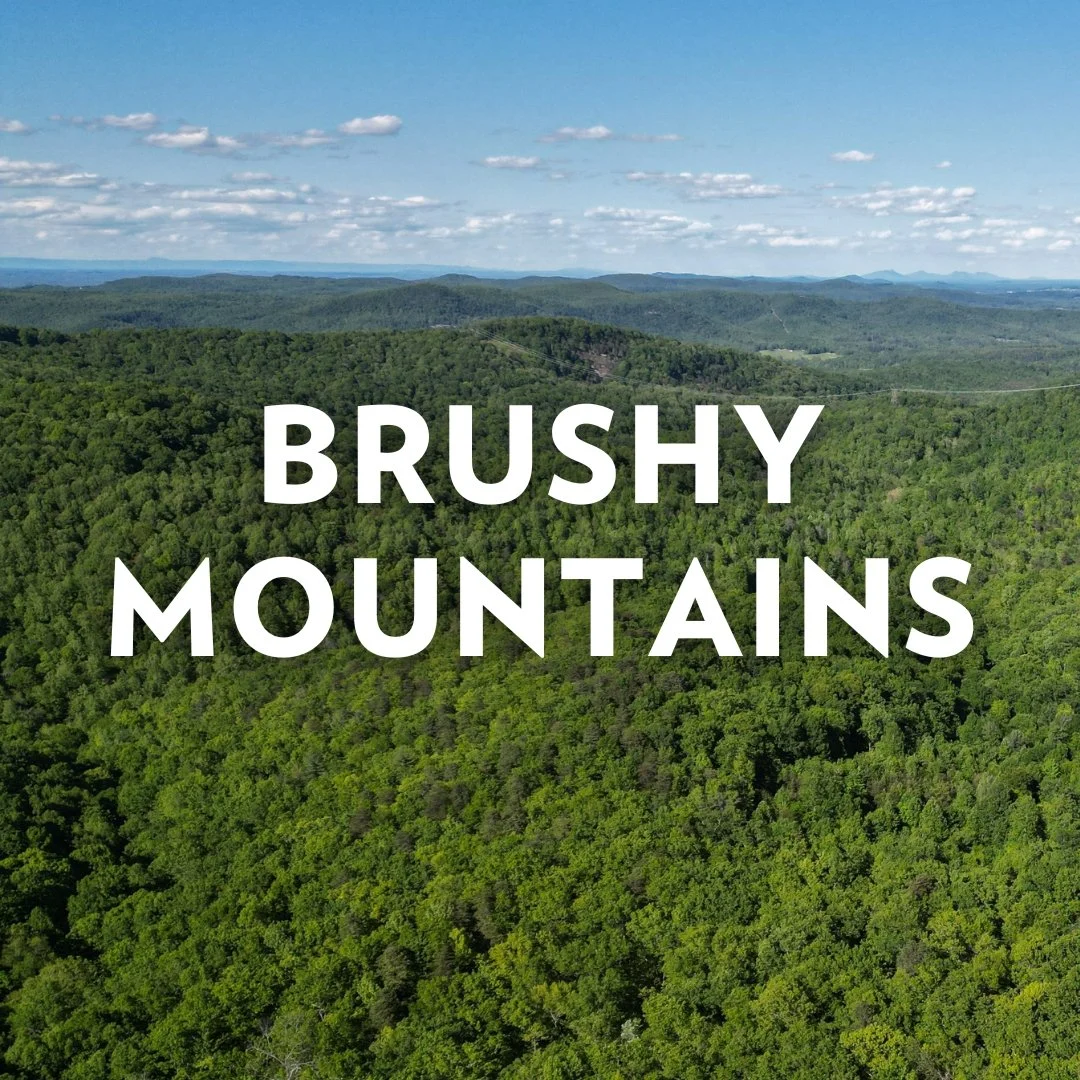 Foothills Conservancy of NC