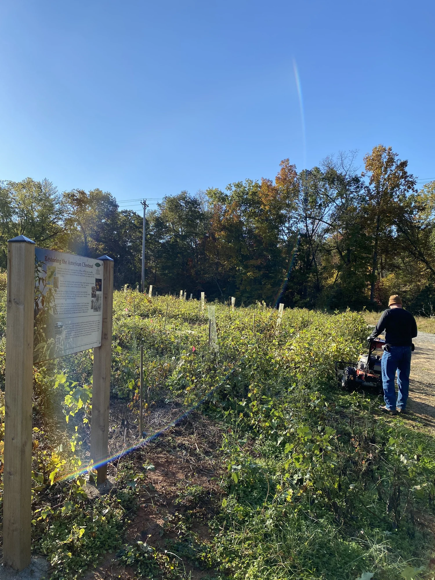 Volunteer Workday: Possum Rock Clean Up — Foothills Conservancy of NC