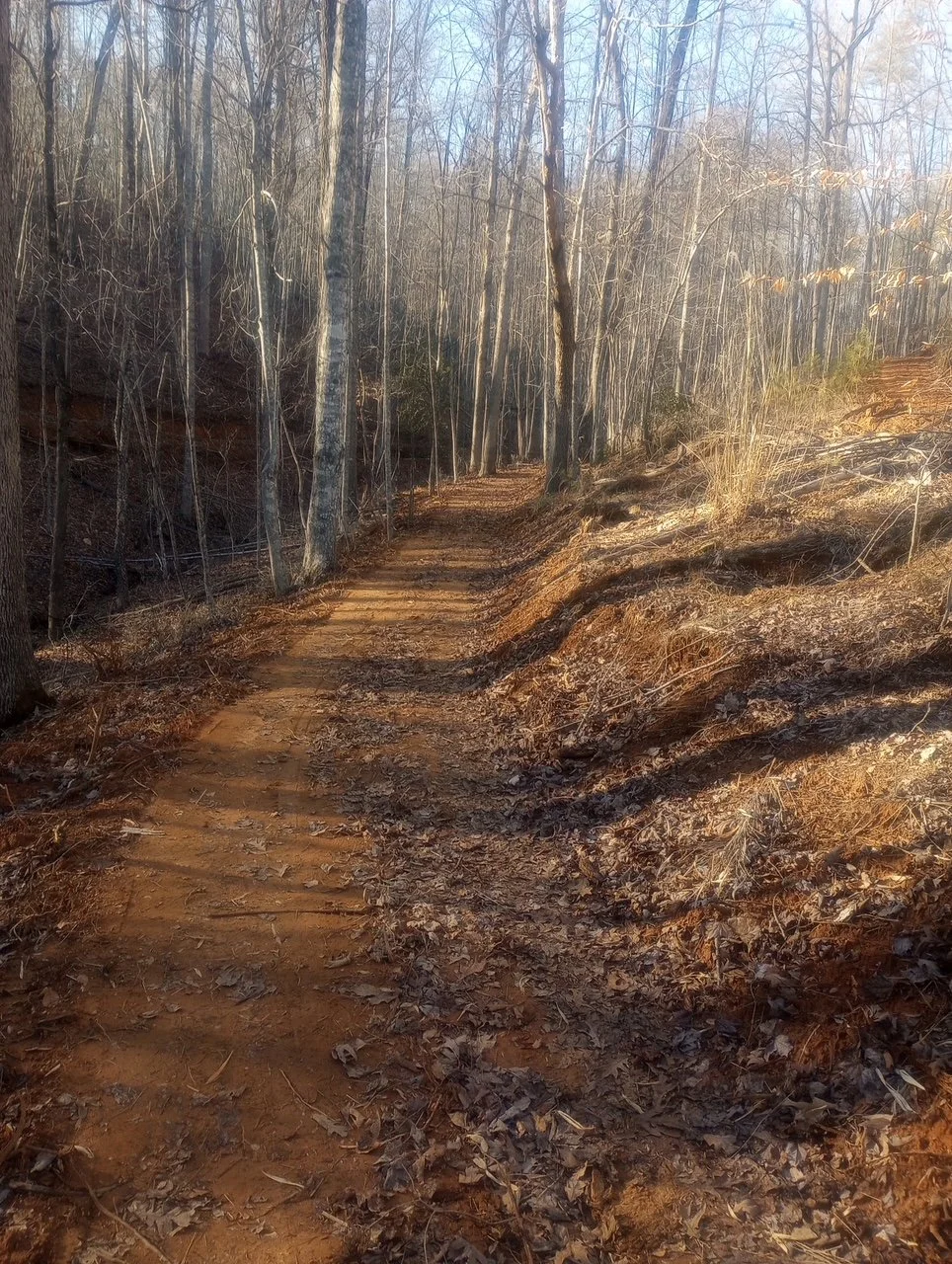 Visit Trails and Public Access Sites — Foothills Conservancy of NC