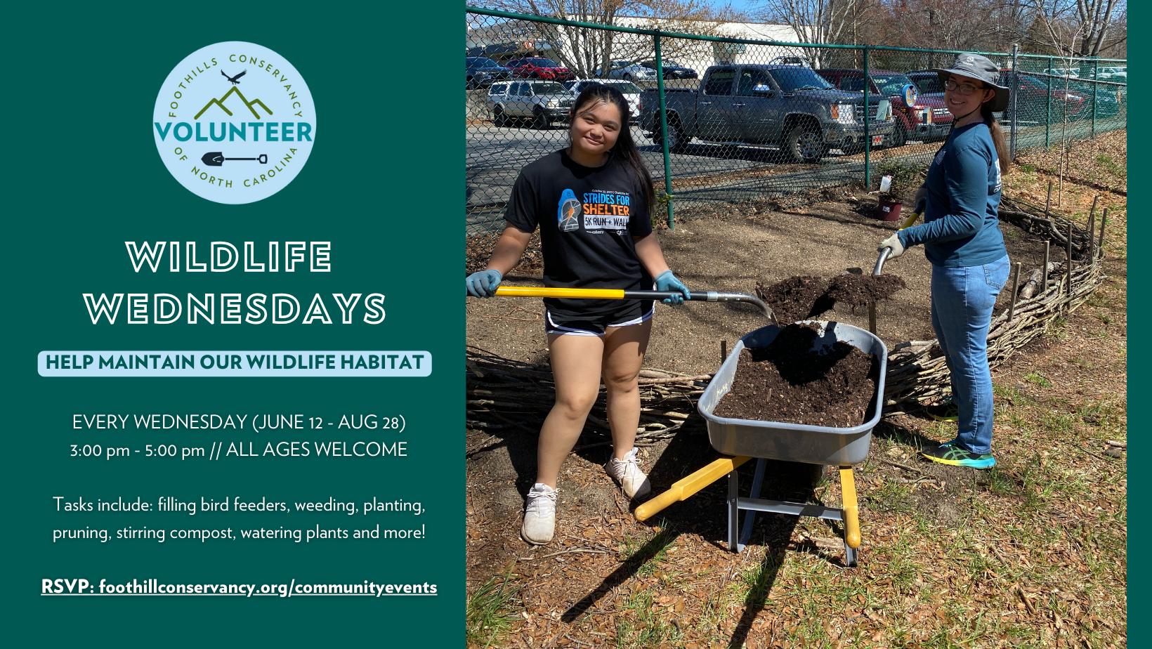 Wildlife Wednesdays — Foothills Conservancy of NC