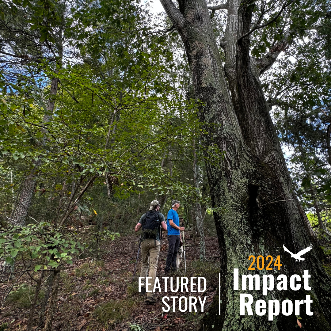 On Land Conservation — Foothills Conservancy of NC