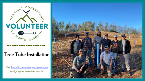 Volunteer Workday: Tree Tube Installation — Foothills Conservancy of NC