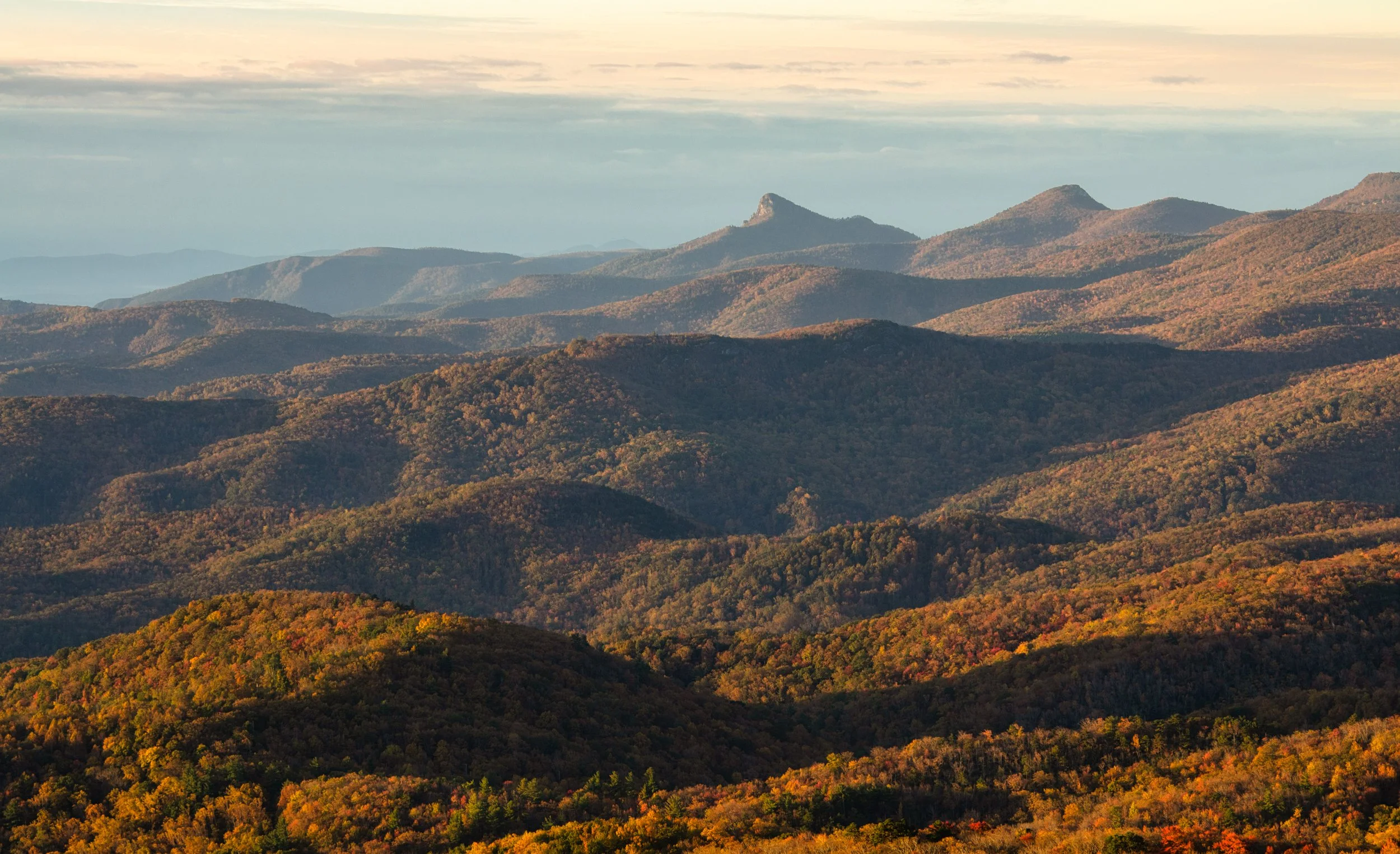 Foothills Conservancy