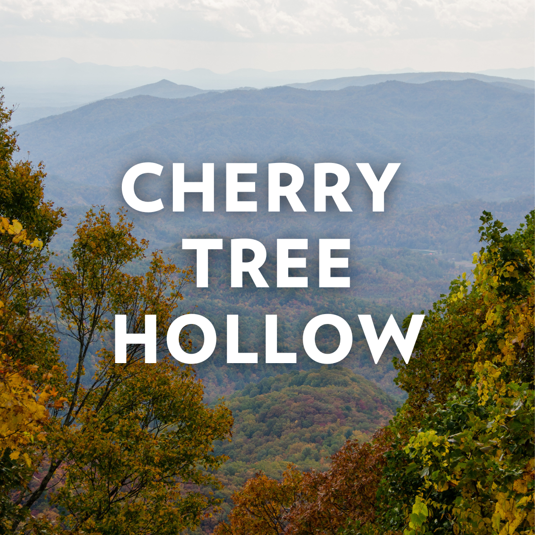 Foothills Conservancy