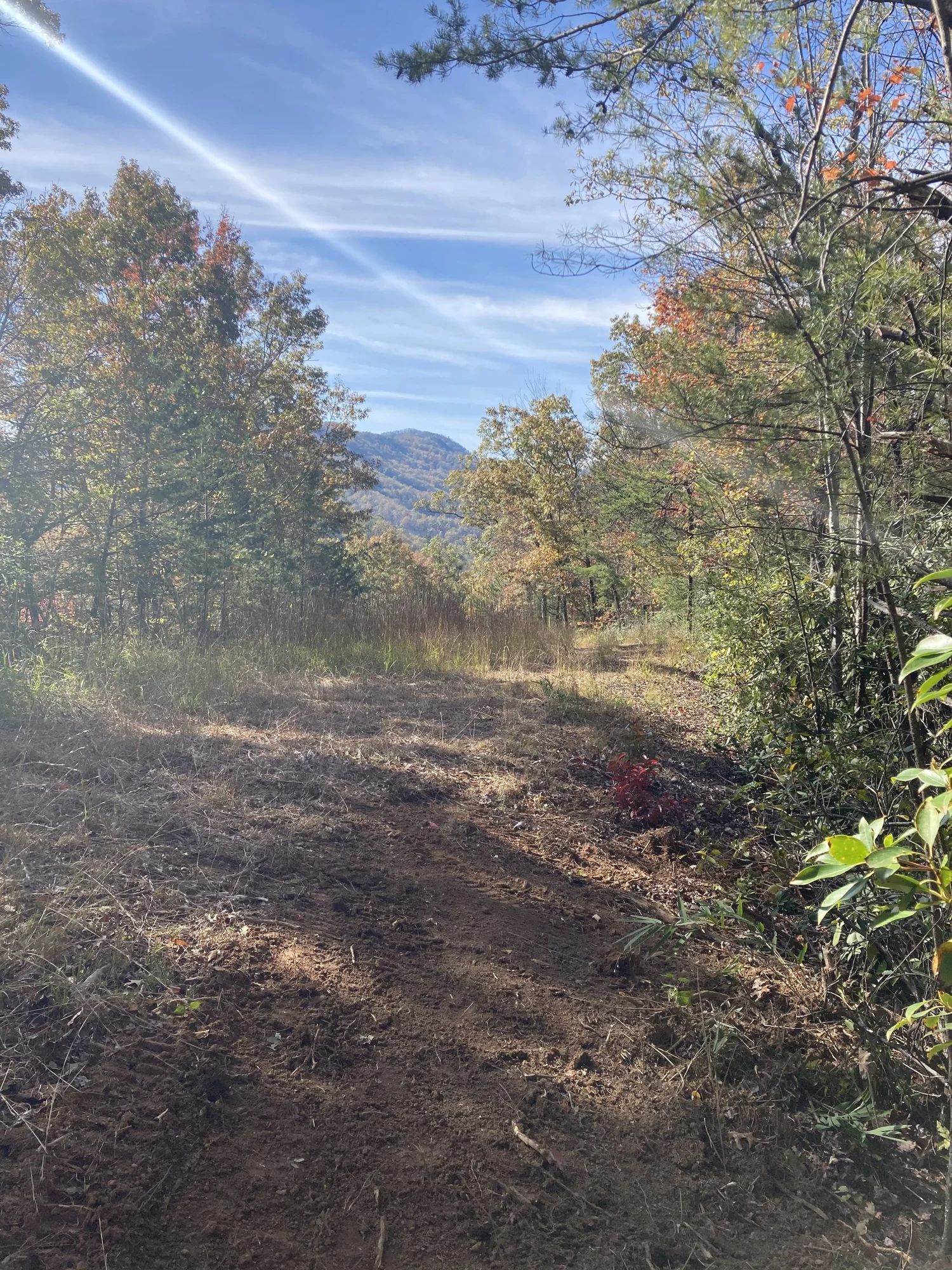 Visit Trails and Public Access Sites — Foothills Conservancy of NC