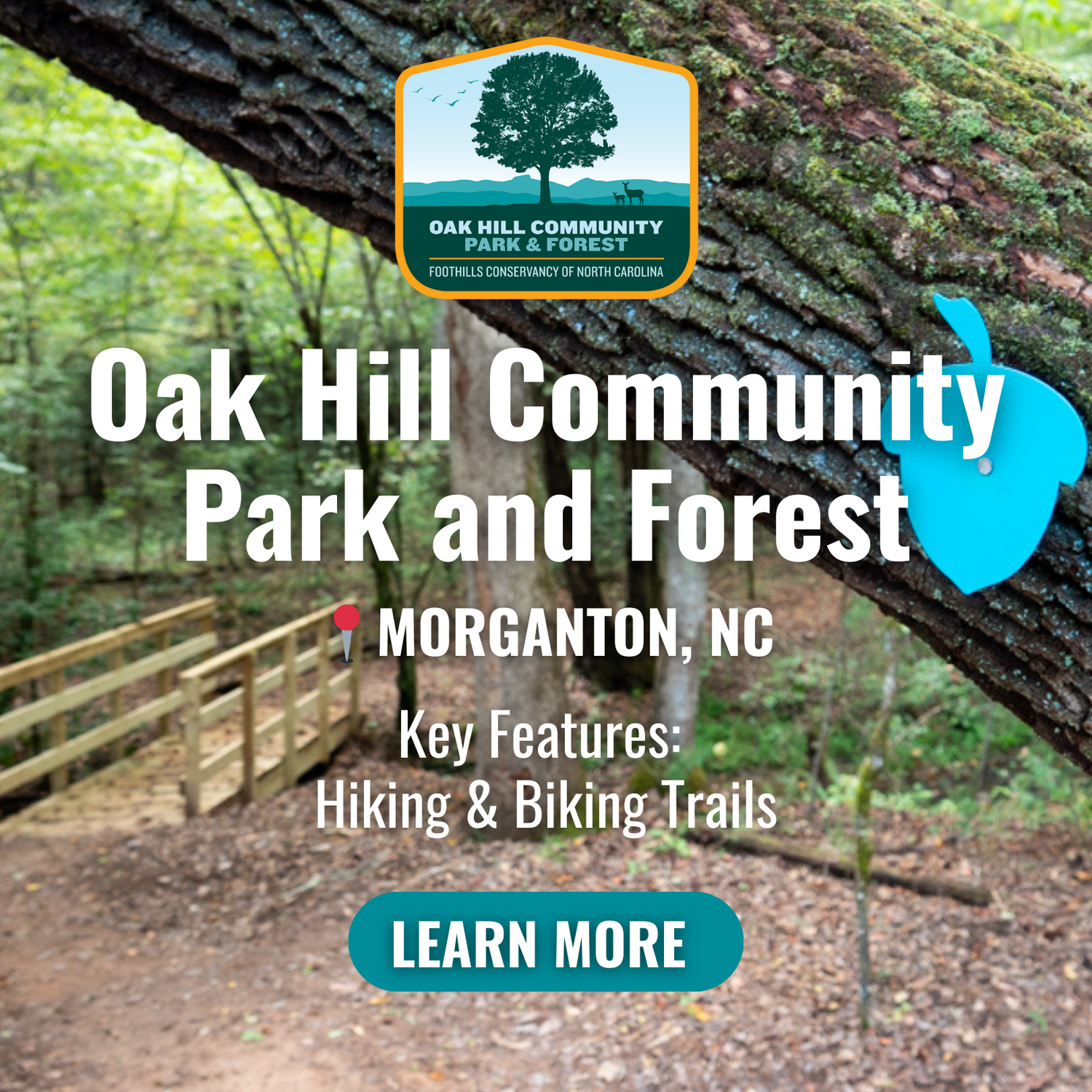 Visit Trails and Public Access Sites — Foothills Conservancy of NC