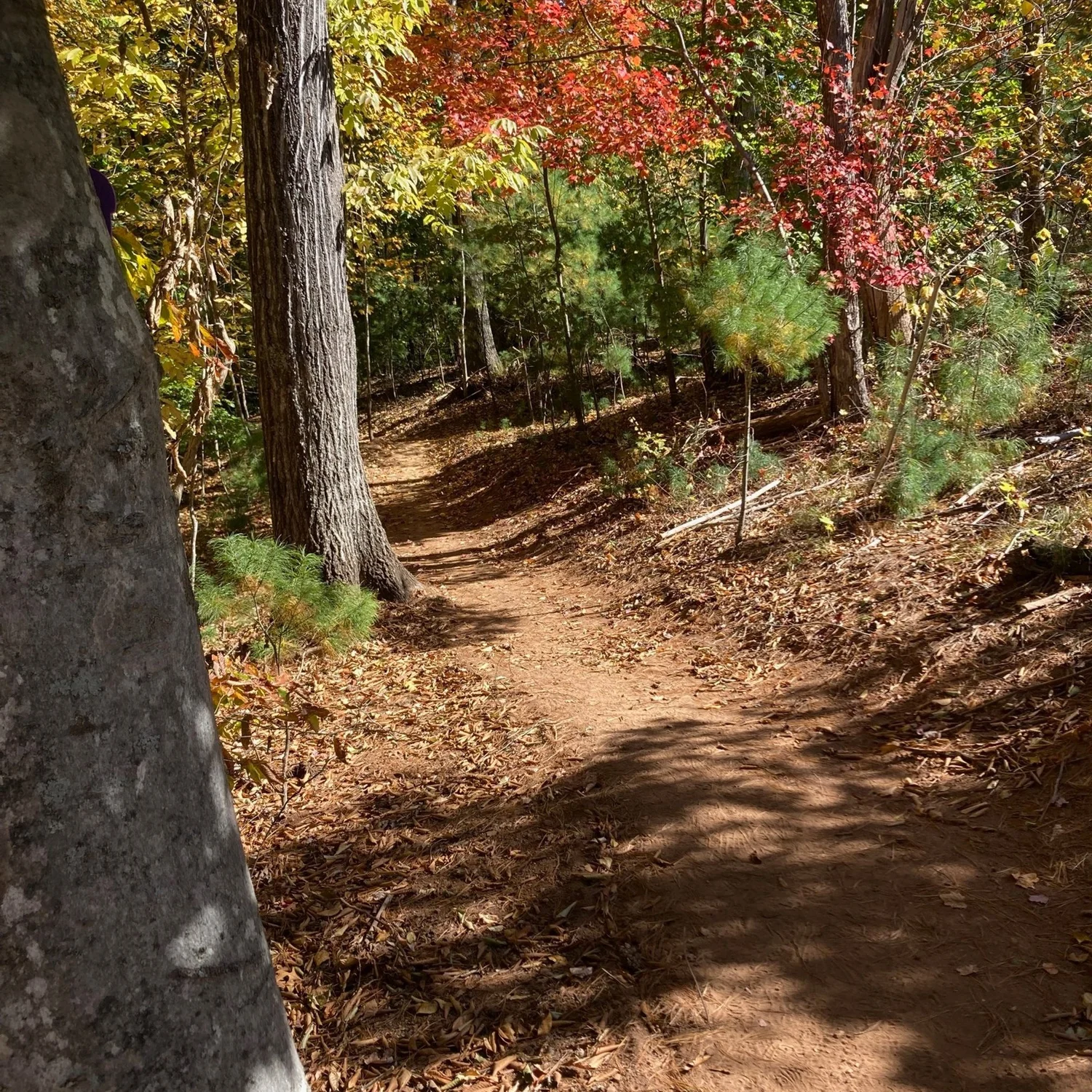 Visit Trails and Public Access Sites — Foothills Conservancy of NC