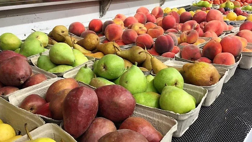Fruitstand — Smallwood Farms