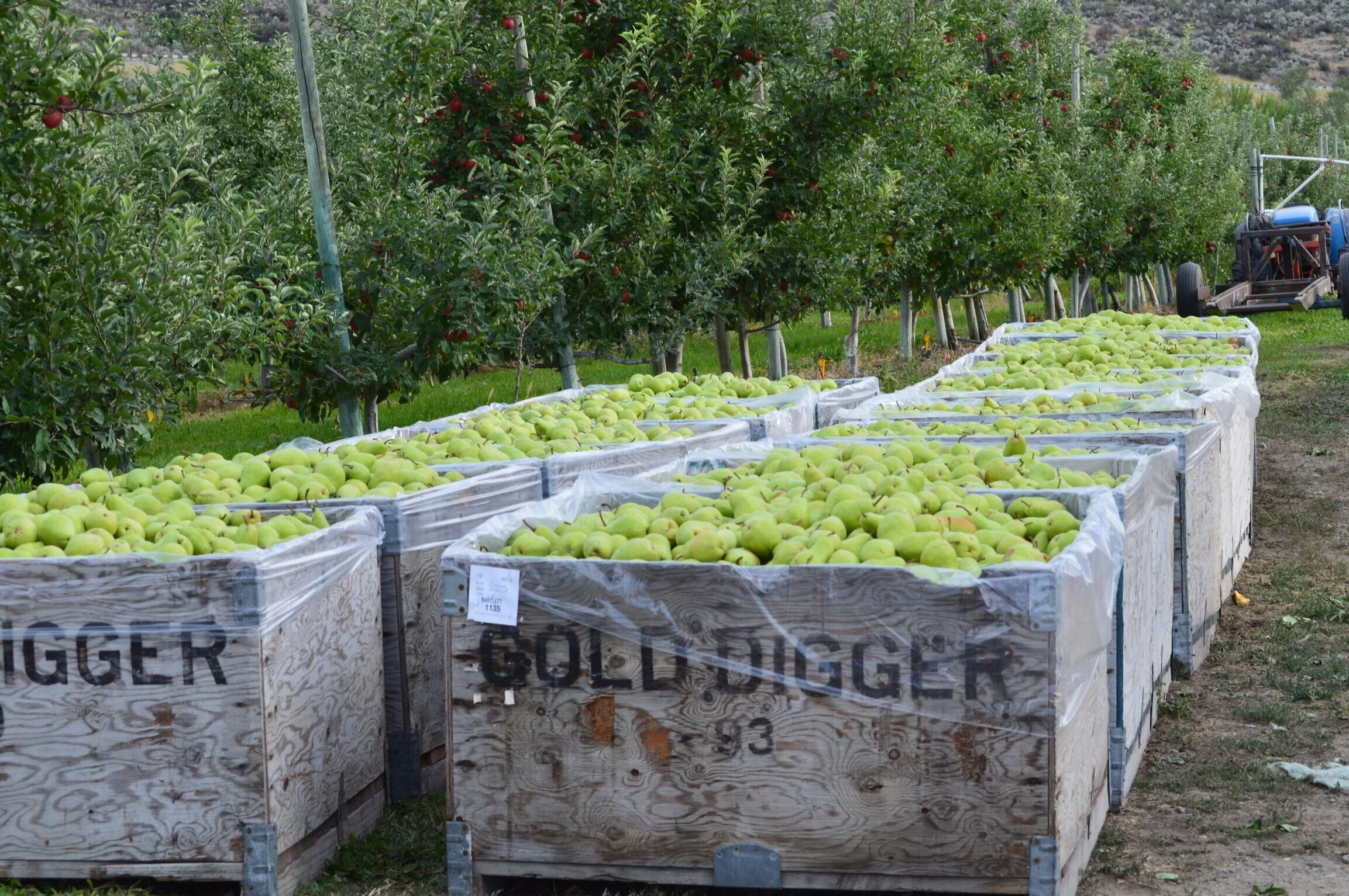 Products — Smallwood Farms