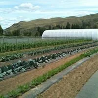 Products — Smallwood Farms