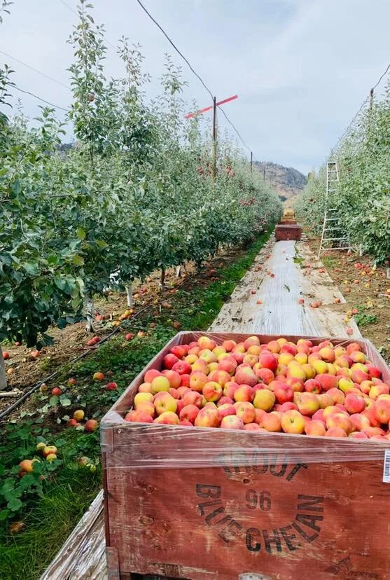 Products — Smallwood Farms