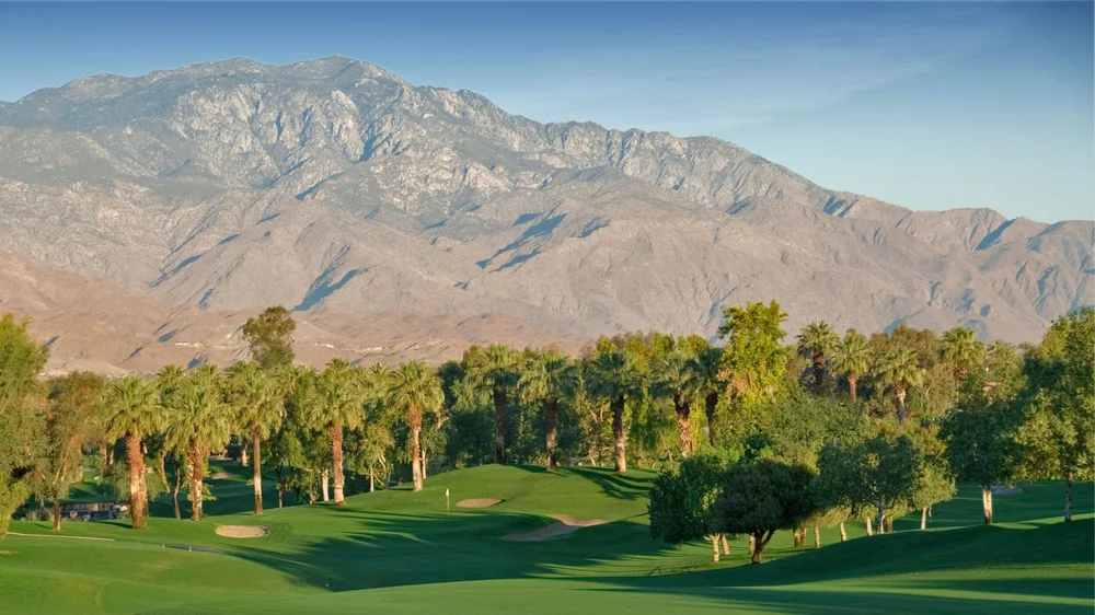 Kappy Olson Real Estate