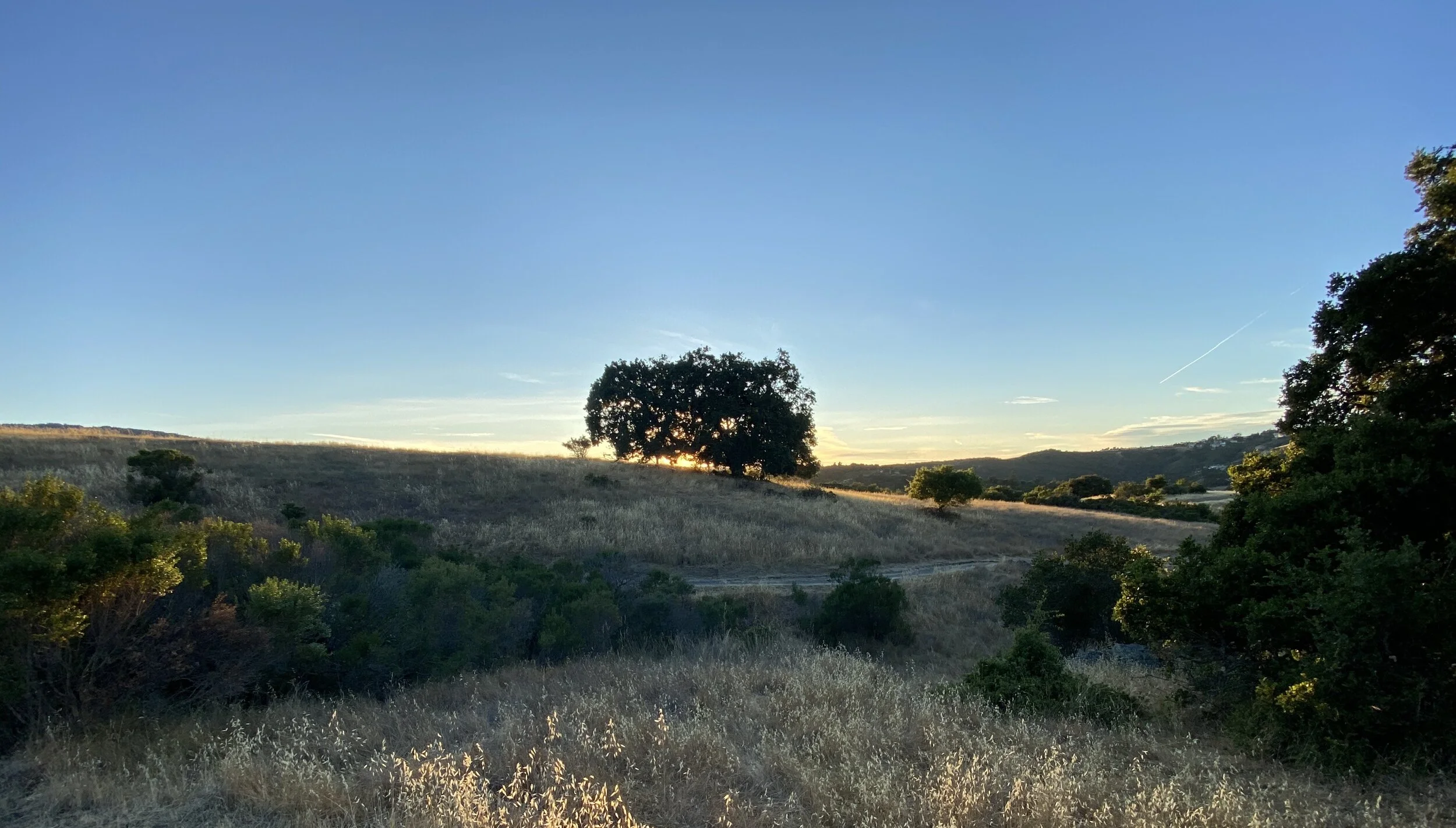 California Estate Planning Services — Law Office of Marisa Nelson, PC