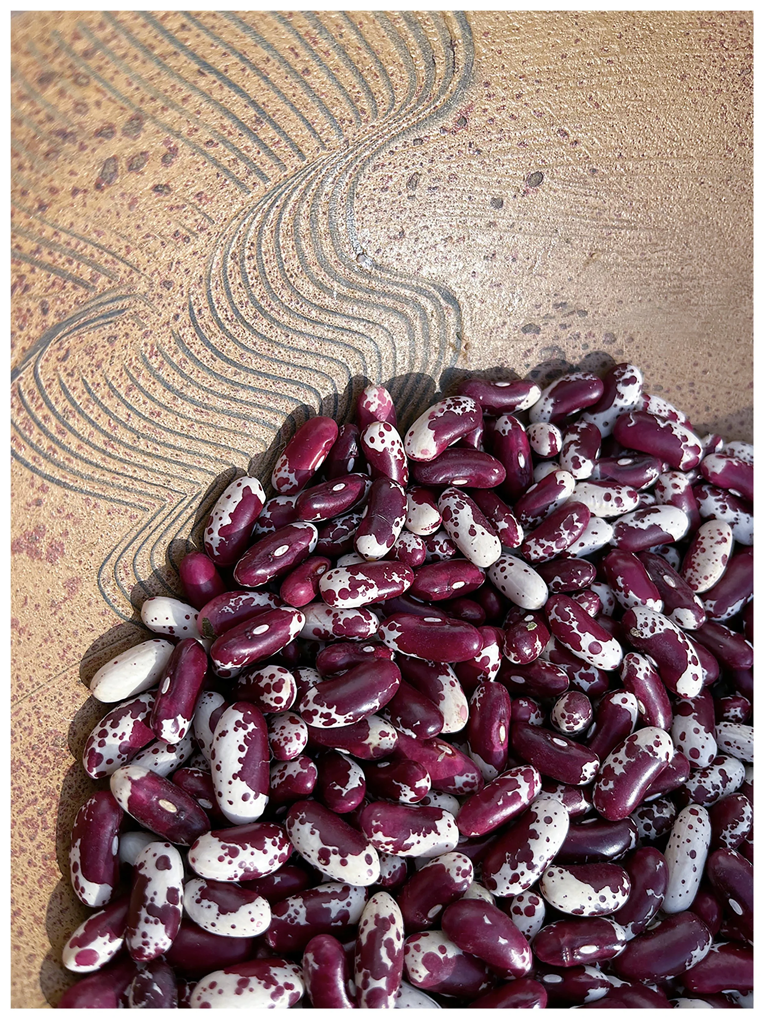 Polish Farmer: Heirloom Dry Beans and Produce