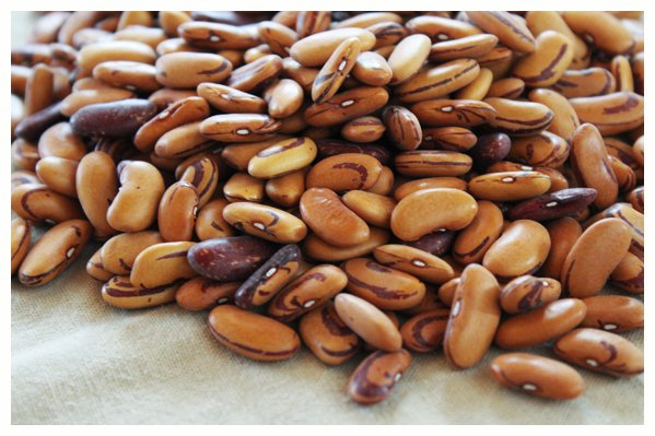 Polish Farmer: Heirloom Dry Beans and Produce