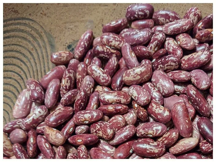 Polish Farmer: Heirloom Dry Beans and Produce