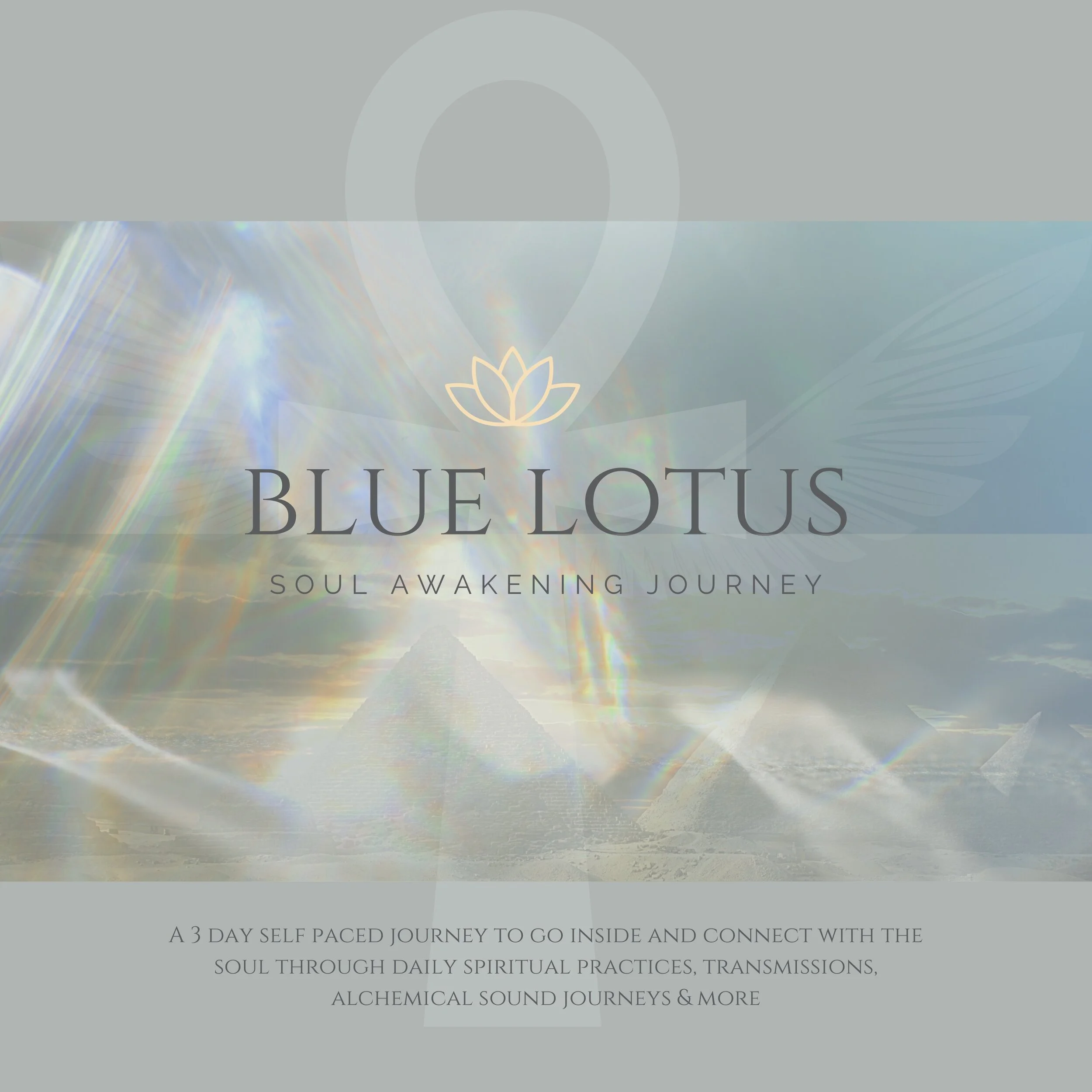 Store — Tamar Raphael