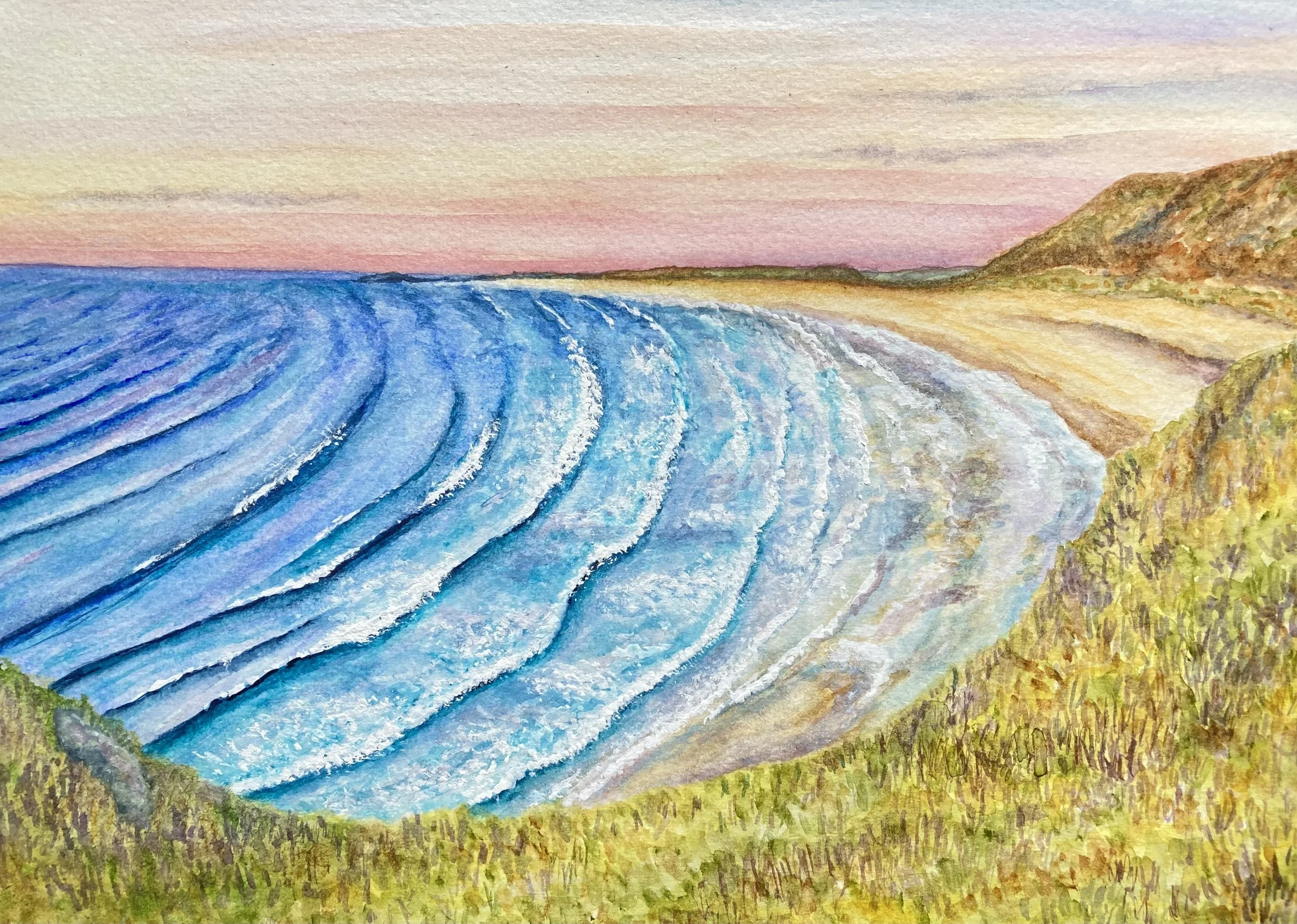 Original Seascape, Marine Wildlife and Surf Art Paintings by Joy Clifton