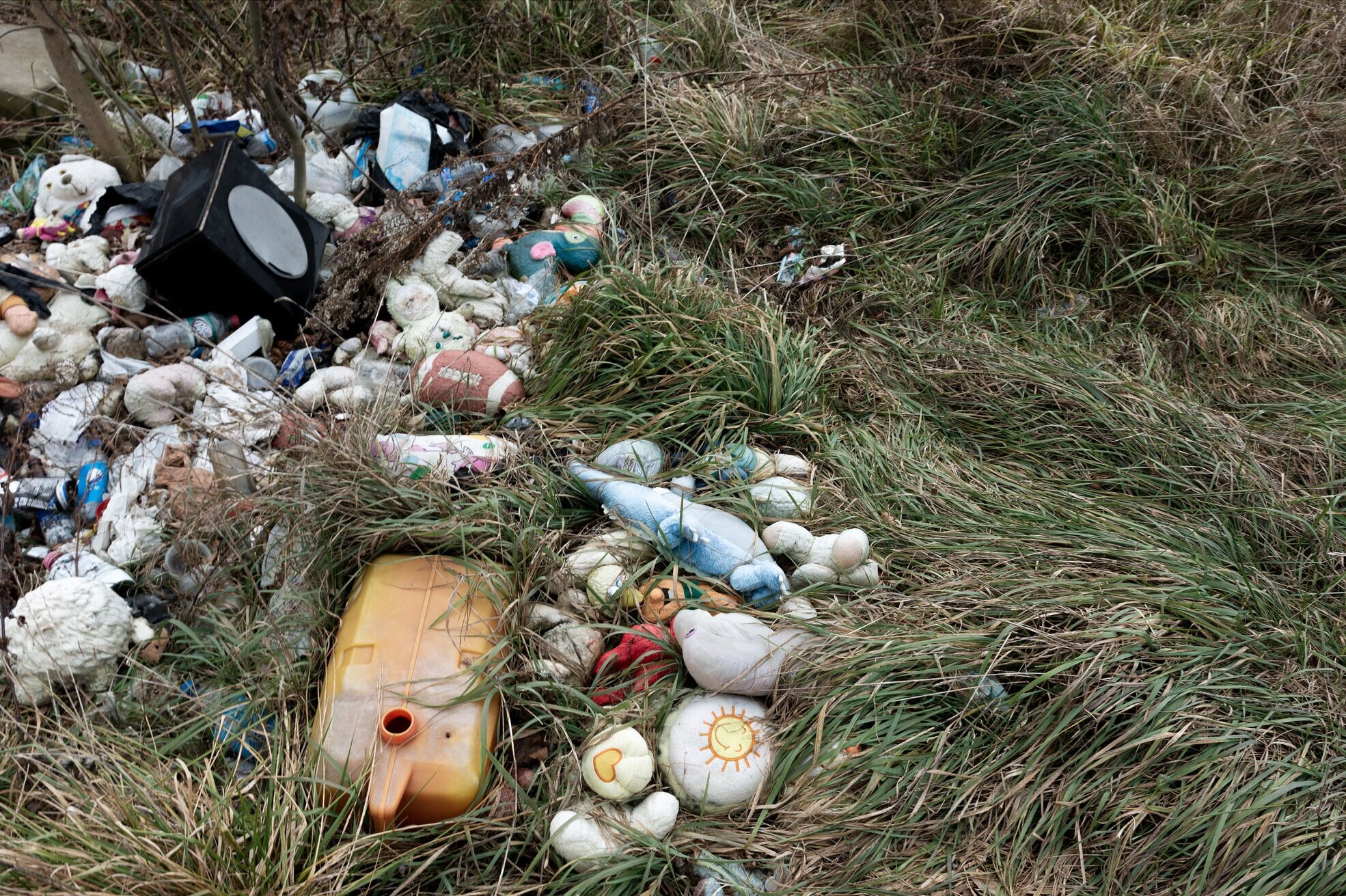 Kayla Graves Photography