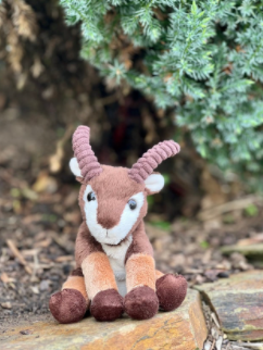 Garibaldi Charlie Bears 2022 — Let Loose Fashion & Bears