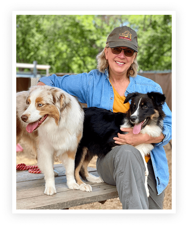 The Canine Connection, LLC