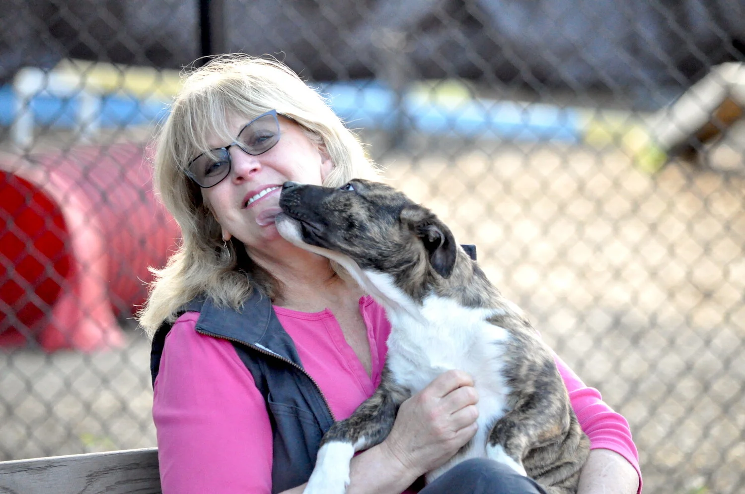 Puppy Training — The Canine Connection, LLC