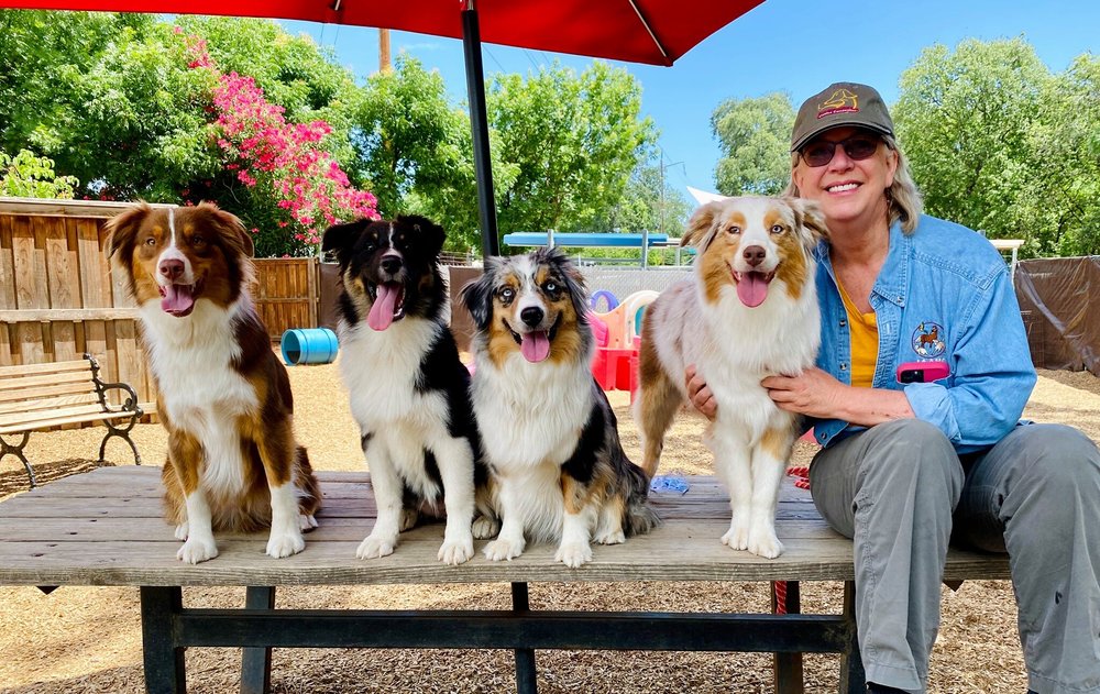 Client Login — The Canine Connection, LLC