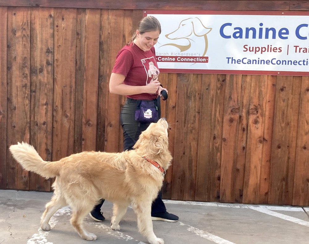 Continuing Ed — The Canine Connection, LLC