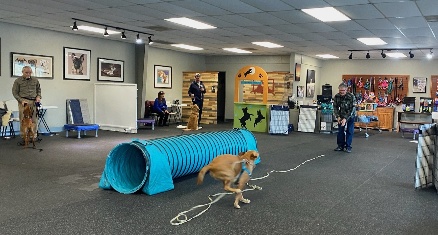 Continuing Ed — The Canine Connection, LLC