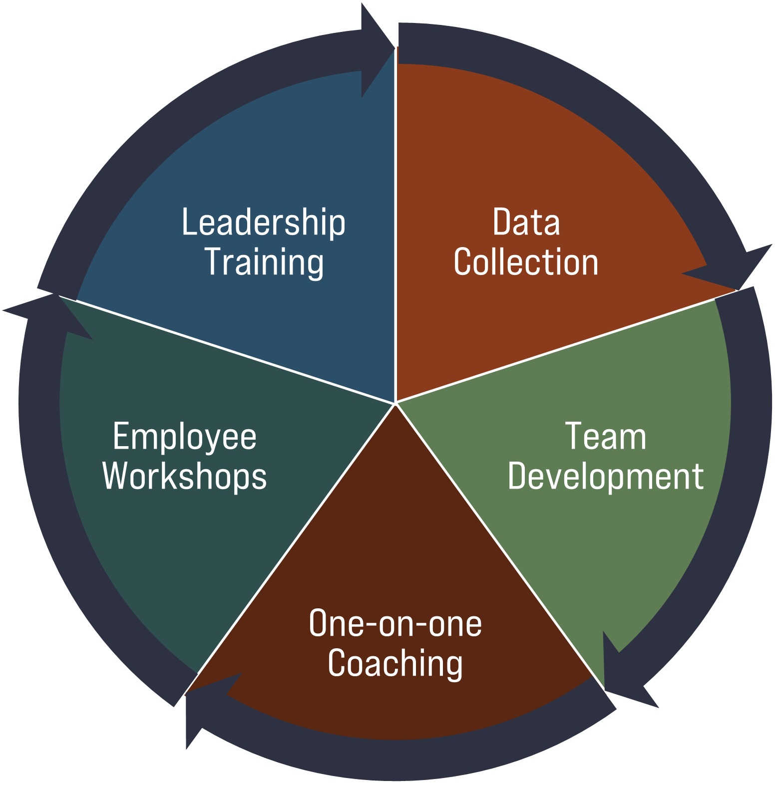 Consulting Solutions — Lee Riley