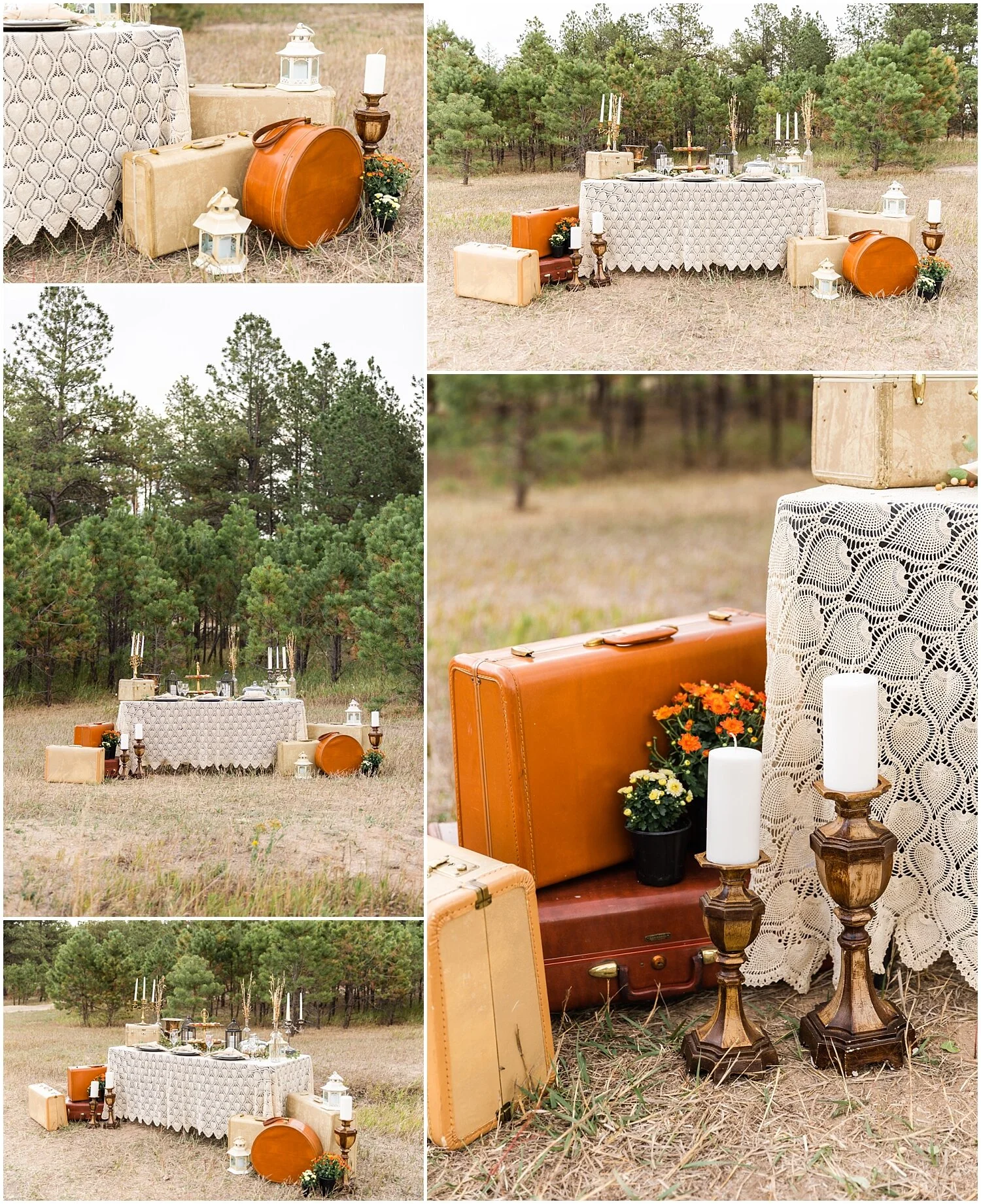 Spooky Halloween Couples Session in Elbert, Colorado — Colorado Wedding ...