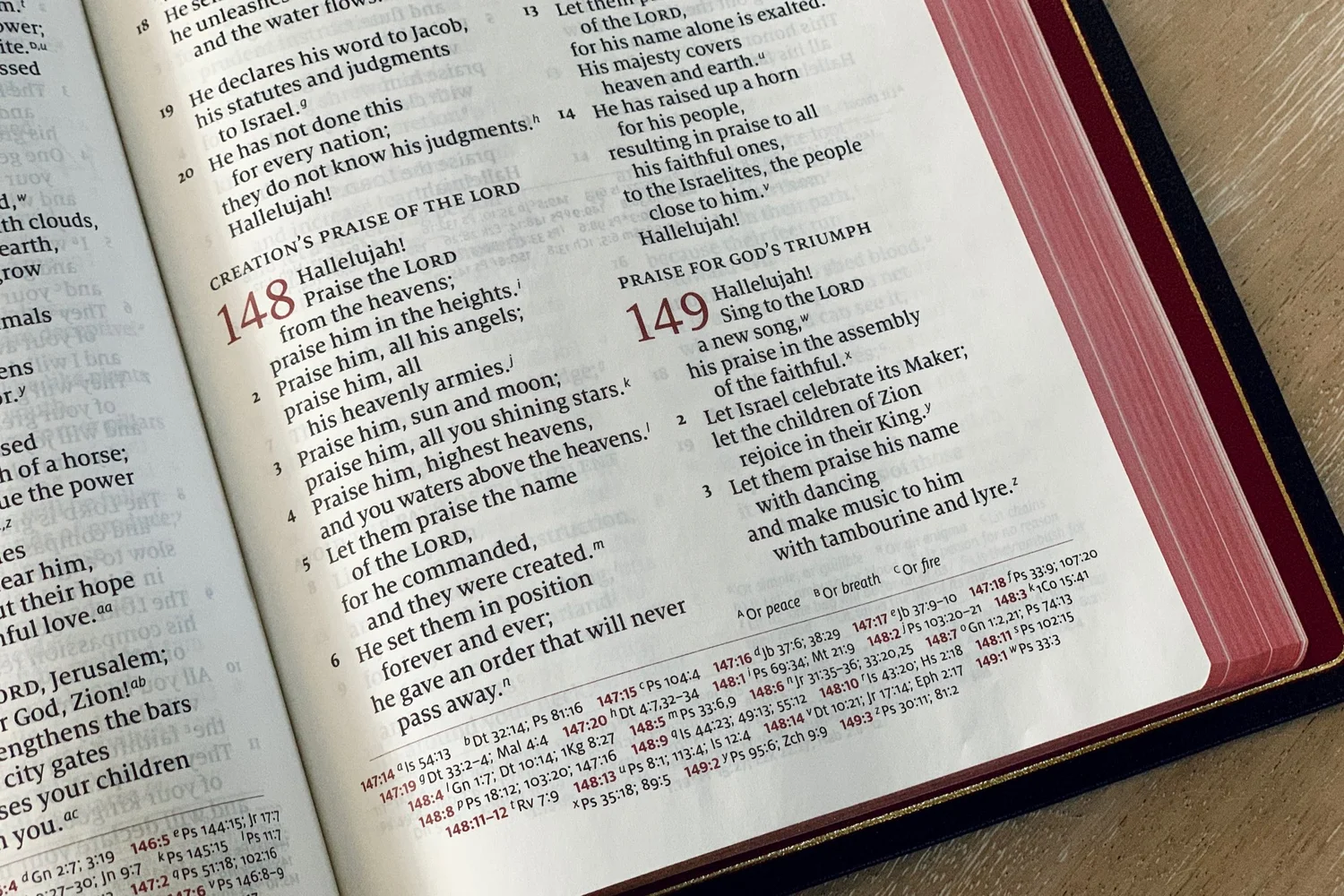 Schuyler Quentel vs. Stridon — Tim Wildsmith