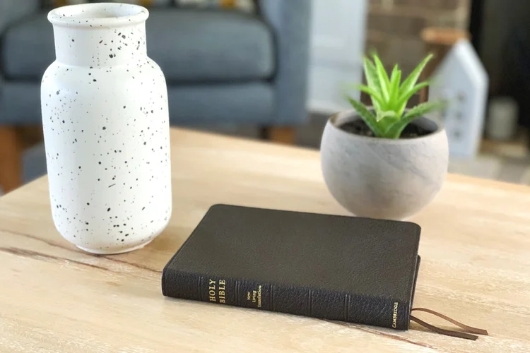 Cambridge NLT Pitt Minion Reference Edition Bible — Tim Wildsmith