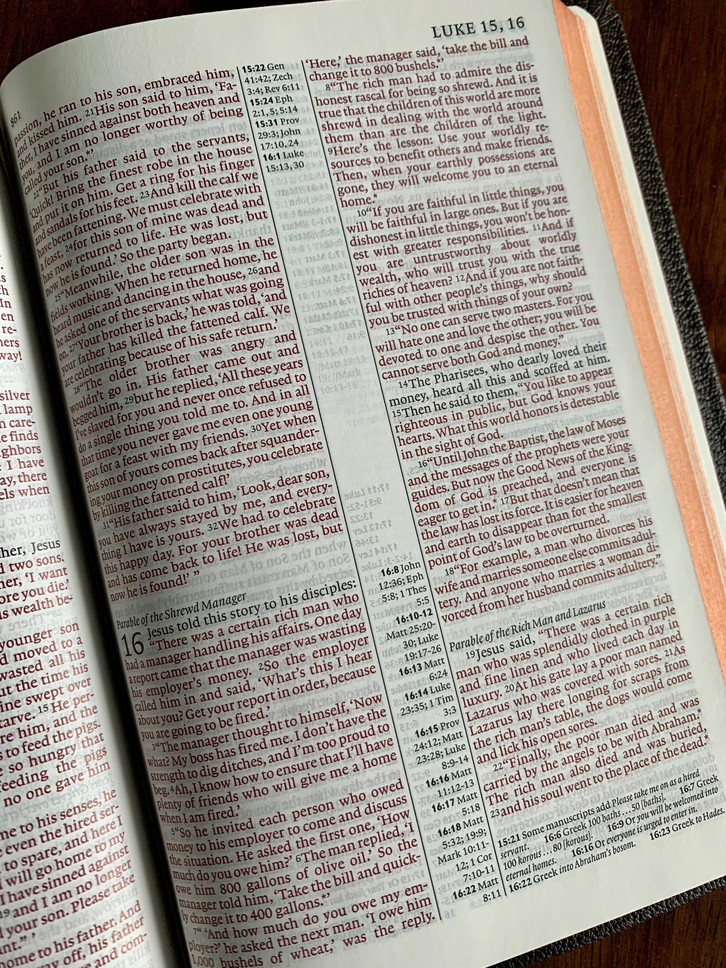 Cambridge NLT Pitt Minion Reference Edition Bible — Tim Wildsmith