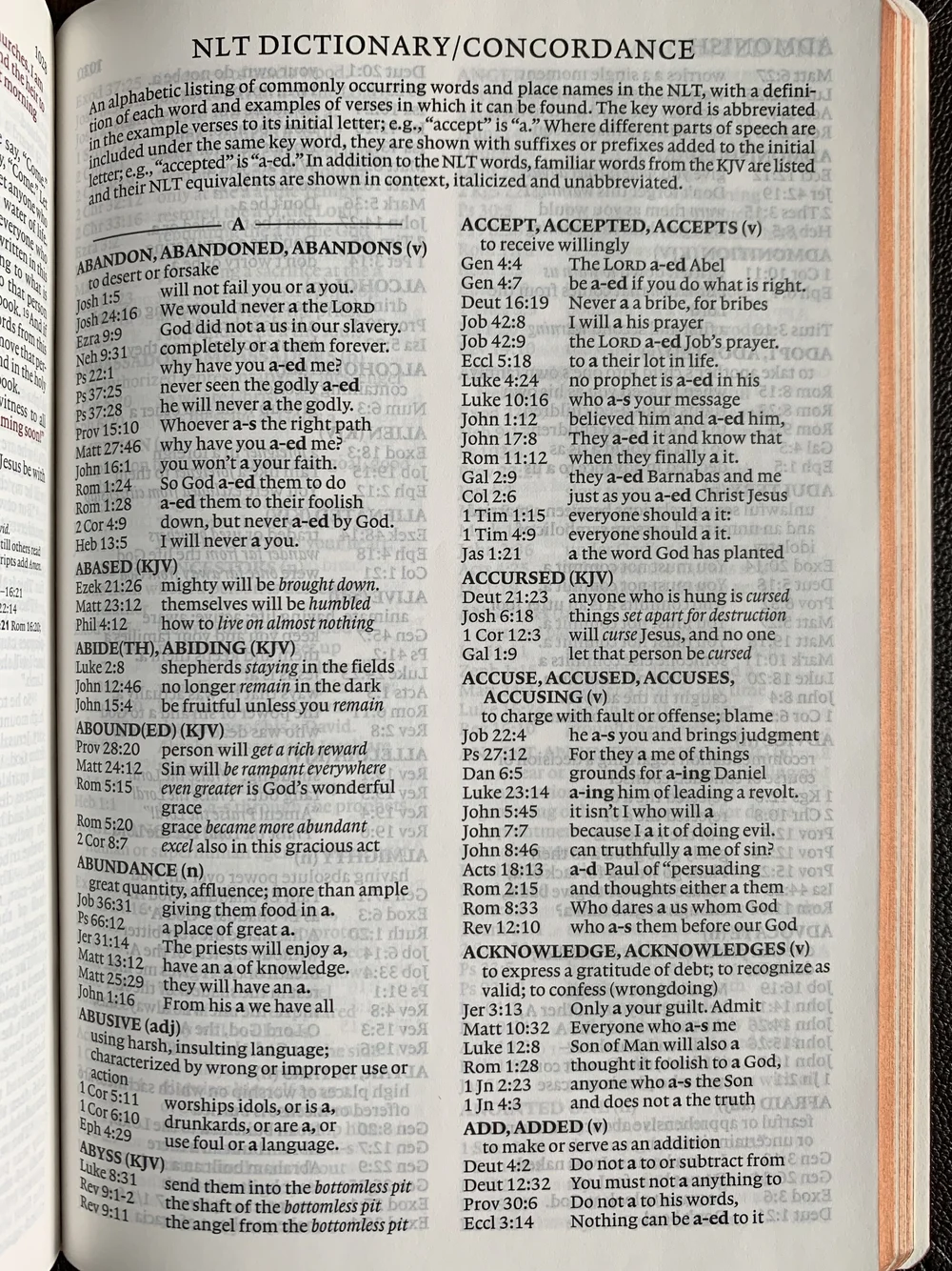 Cambridge NLT Pitt Minion Reference Edition Bible — Tim Wildsmith