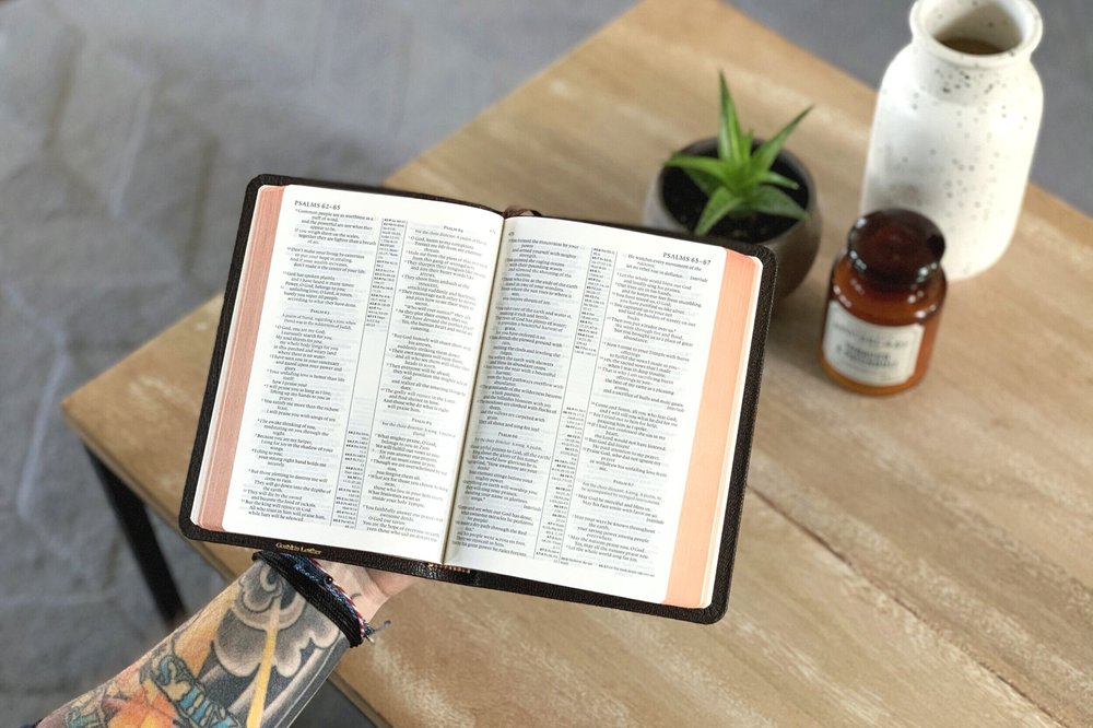 Cambridge NLT Pitt Minion Reference Edition Bible — Tim Wildsmith