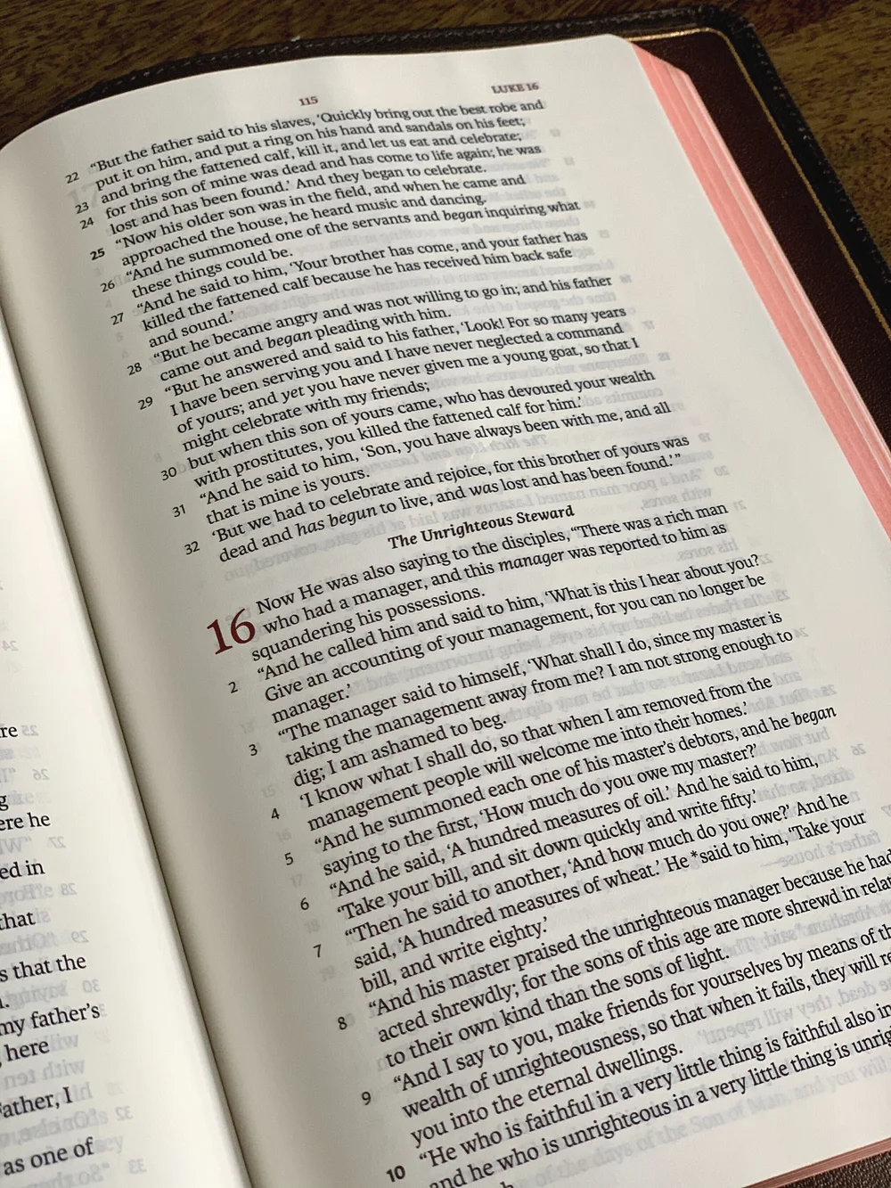 Steadfast Handy Size Preacher’s Bible — Tim Wildsmith