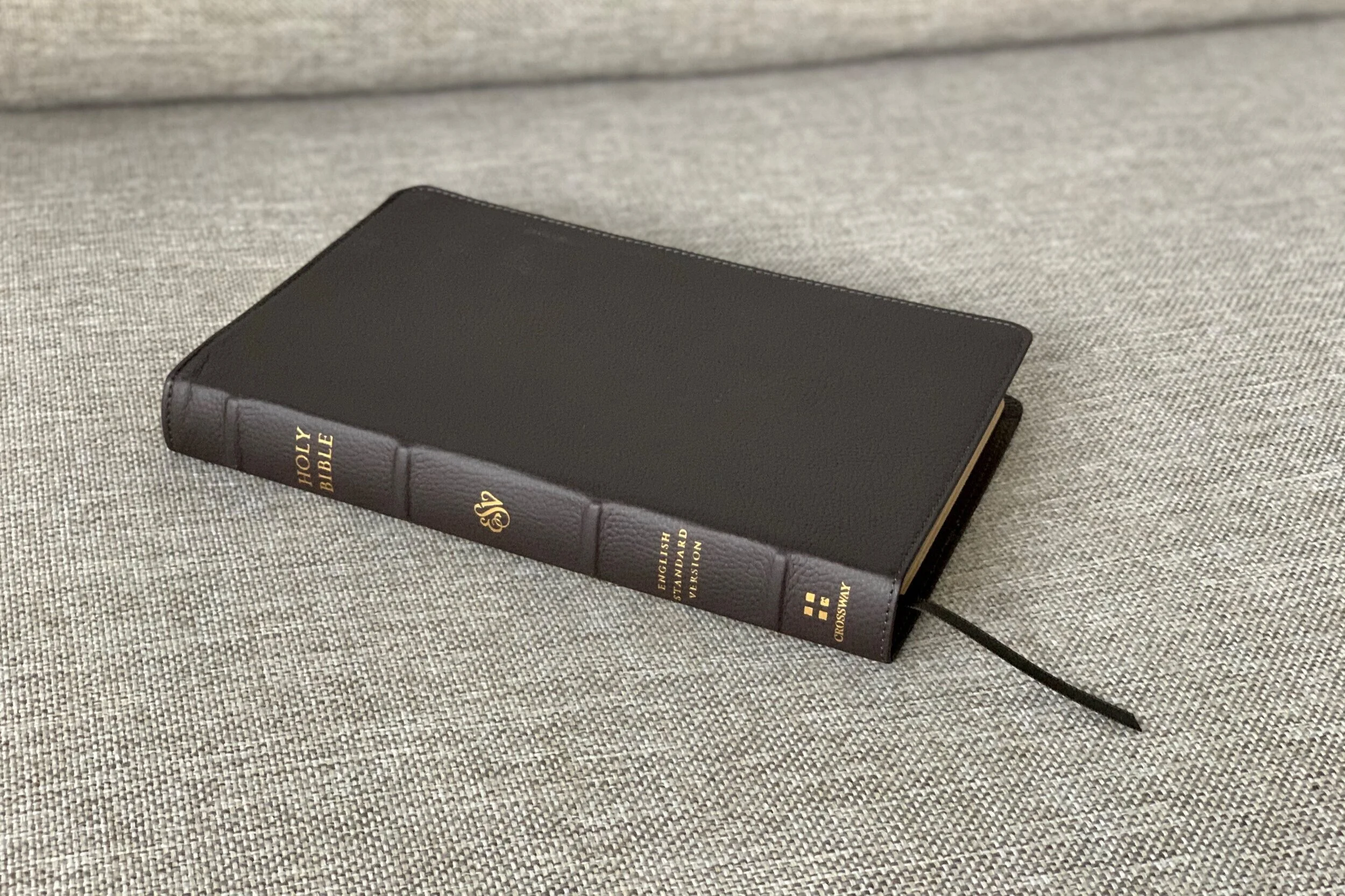 ESV Thinline Bible In Buffalo Leather Bible Review Blog ESV Thinline Bible In Buffalo Leather Bible Review Blog