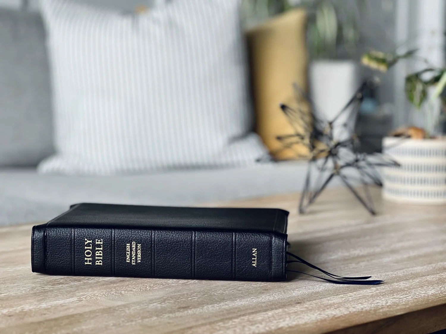 Tim Wildsmith w/ Tim Wildsmith